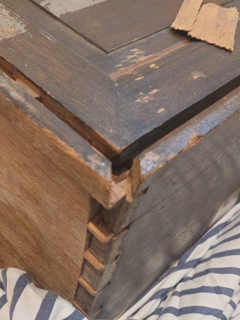 75 Reviews for Seven Seas Worldwide from Ashford, Kent