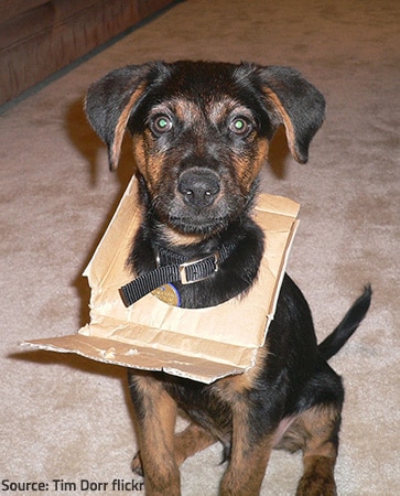 Moving Day Checklist: What Happens оn Moving Day?