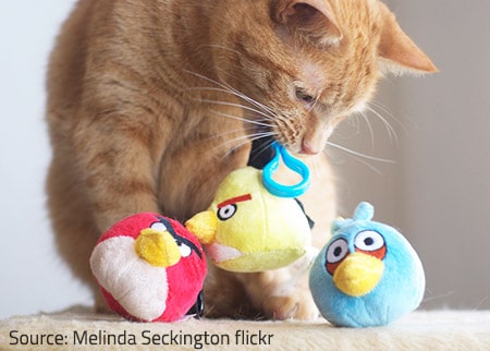 Moving With Pets Tips: How to move your feathery, scaly, or slimy pets