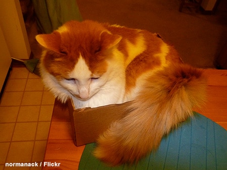 How to Choose the Right Boxes for Your Home Move - RemovalReviews