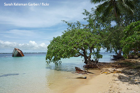 Moving to Tonga: The Ultimate Guide to The Friendly Islands ...