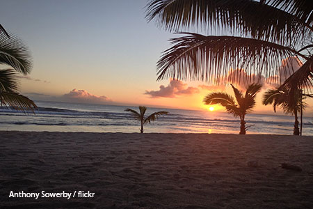 Moving to Tonga: The Ultimate Guide to The Friendly Islands ...