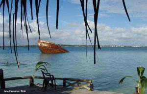 Moving to Tonga: The Ultimate Guide to The Friendly Islands ...
